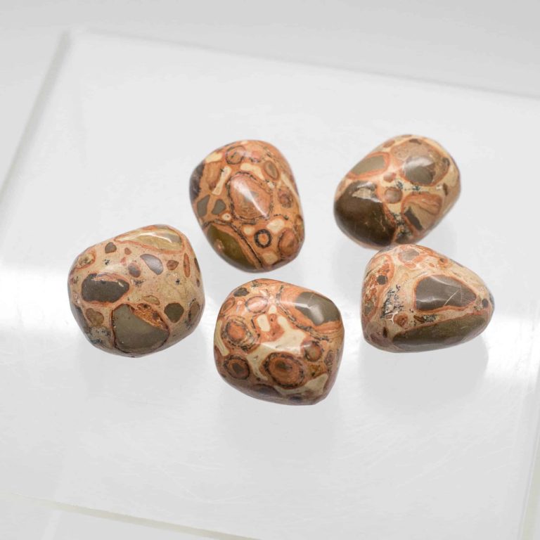 Shop Leopardite Tumble Stones