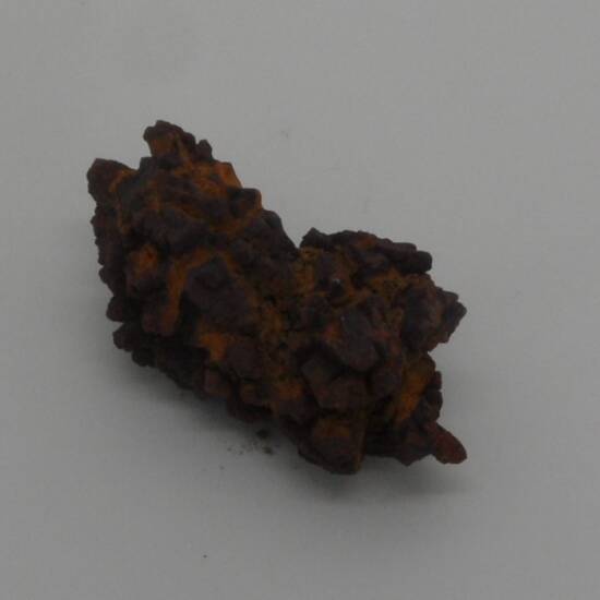 Shop Coprolite Fossil Dinosaur Dung - Colliers Crystals