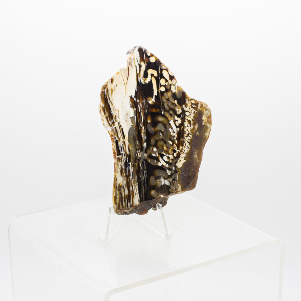 Peanut Wood Slice - Grounding Stone