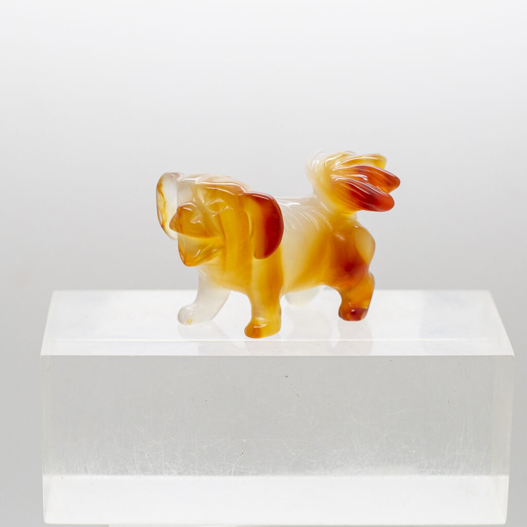 Carnelian Dog - Vitality Boost