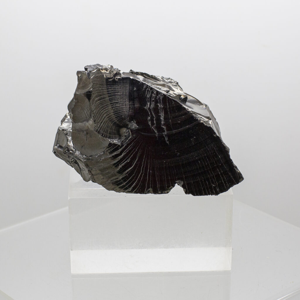 Elite Shungite - Rare & Potent